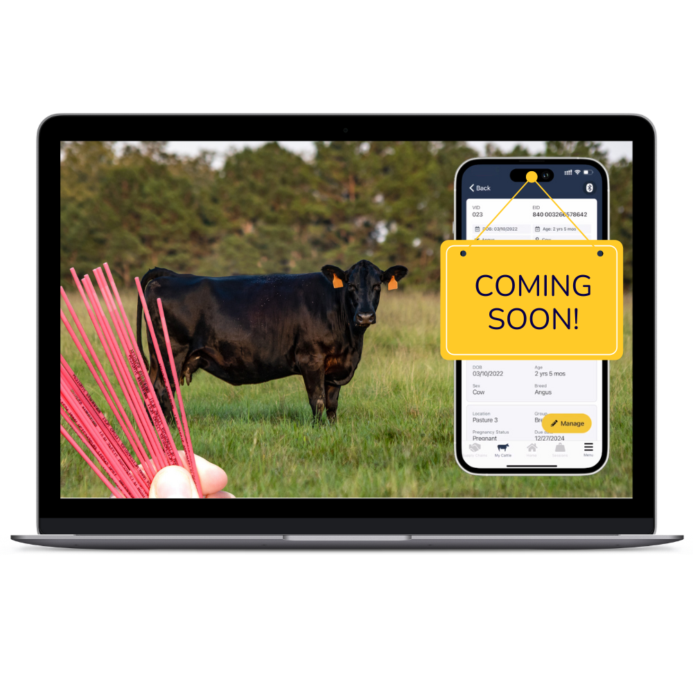 Seedstock Cattle Management | Livestock Breeding Software | Breedr