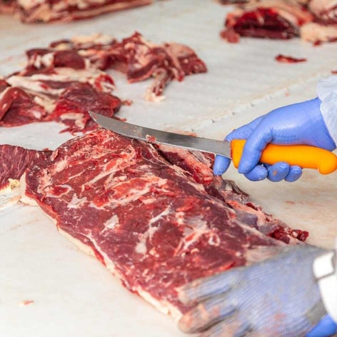 Seedstock Cattle Management | Livestock Breeding Software | Breedr