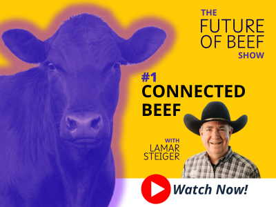The Future of Beef Show