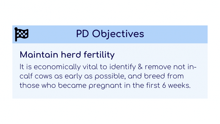 The Complete Guide to Preparing for PD - Breedr